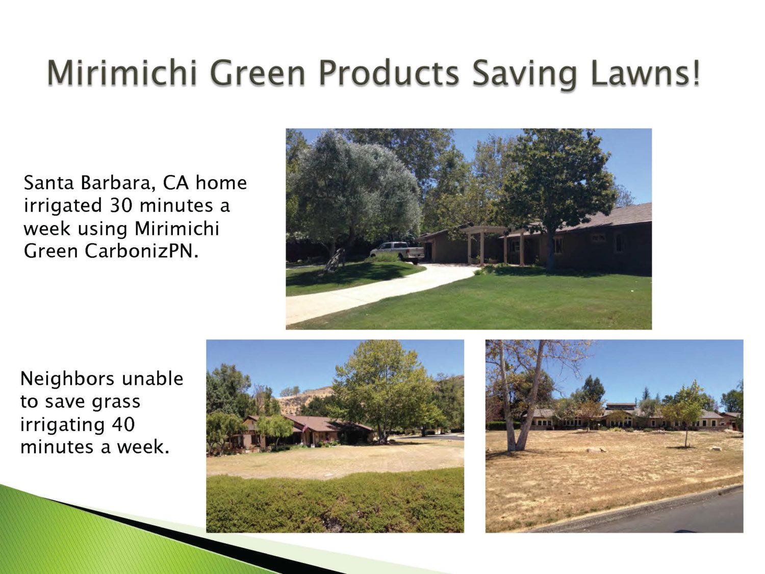 Mirimichi Green Saving Lawns in California. | Mirimichi Green