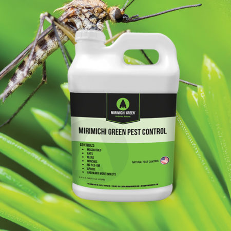 Welcome - Mirimichi Green