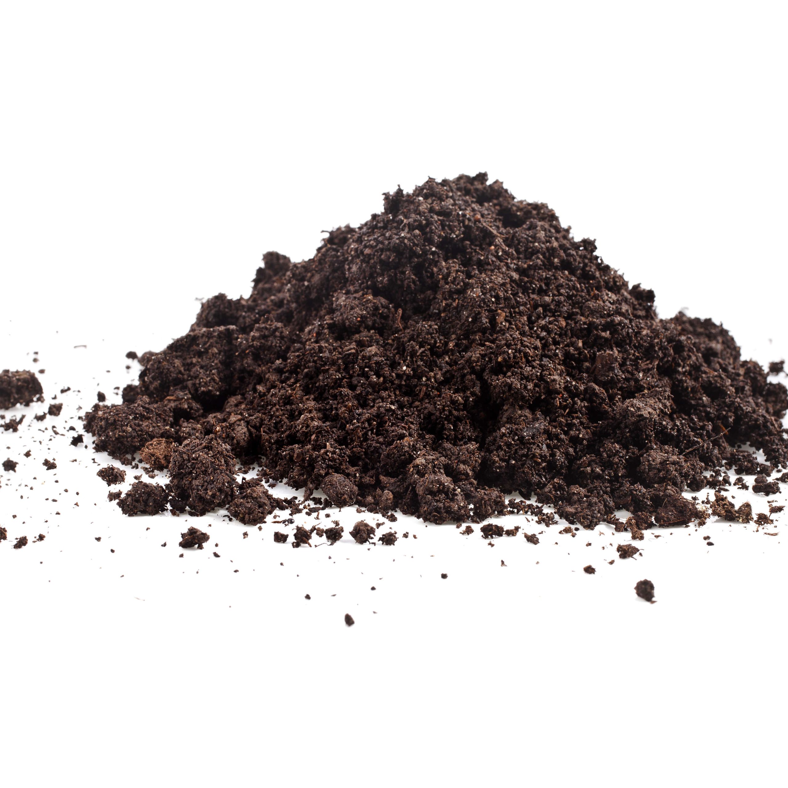 Understanding Soil Organic Matter and Carbon Content | Mirimichi Green