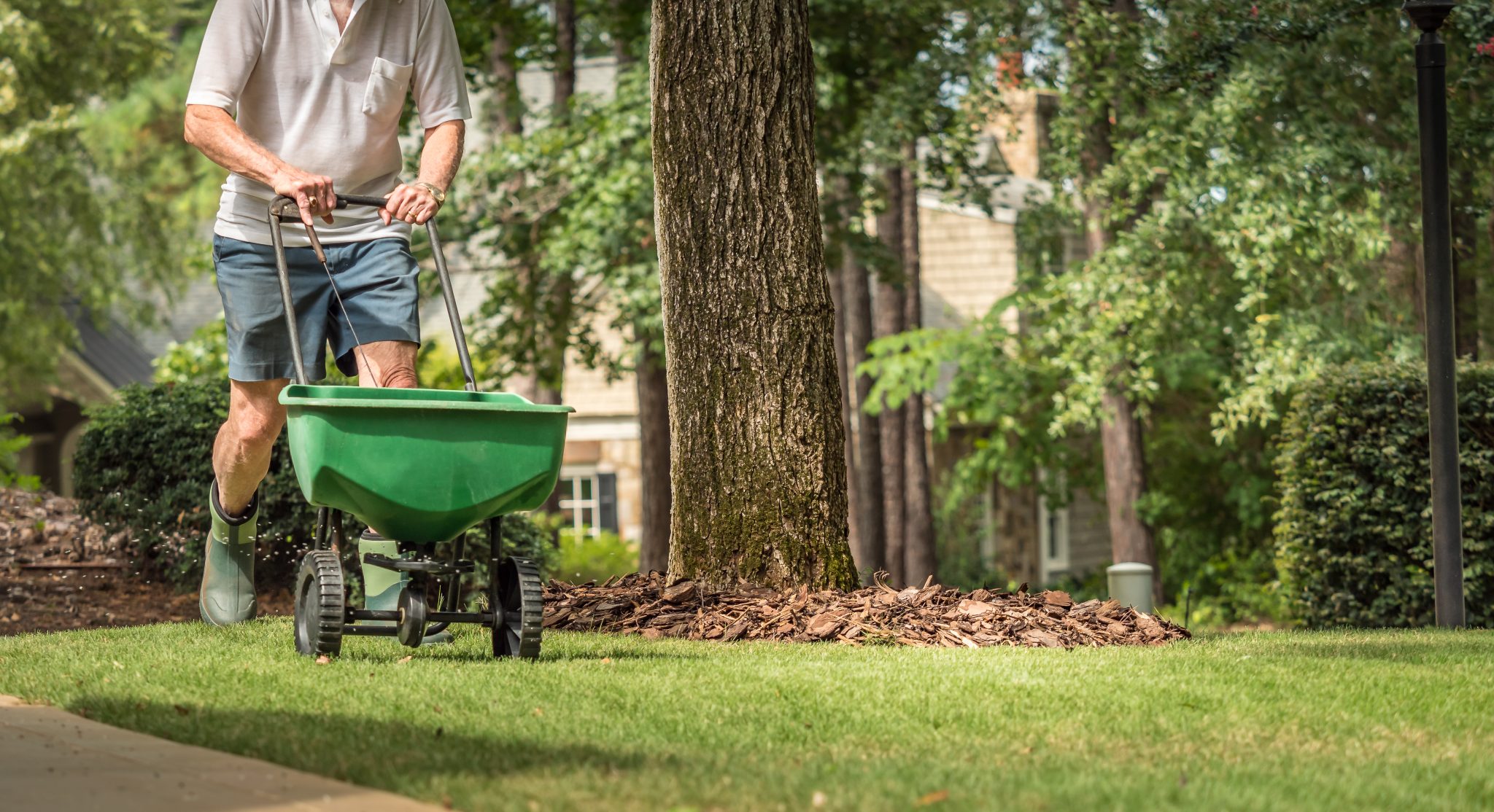 The Best Fall Overseeding Tips for a Thicker, Greener Lawn | Mirimichi ...